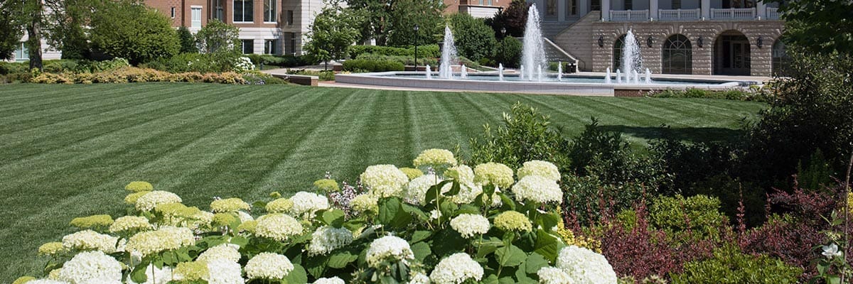 Landscape Construction | Landscape Services, Inc.